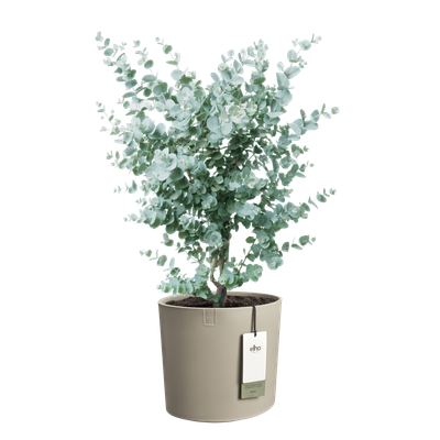 eden 30cm topo suave - elho® - Give room to nature