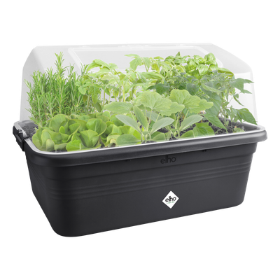 green basics grow garden kweekhuis l transparant - elho® - Give room to ...
