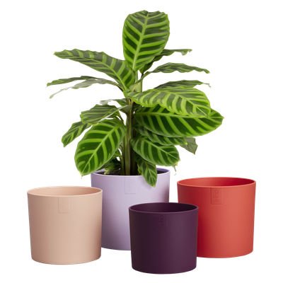 lex pott set 15cm soft lilac - elho® - Give room to nature