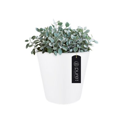 pure straight round 80cm white - elho® - Give room to nature