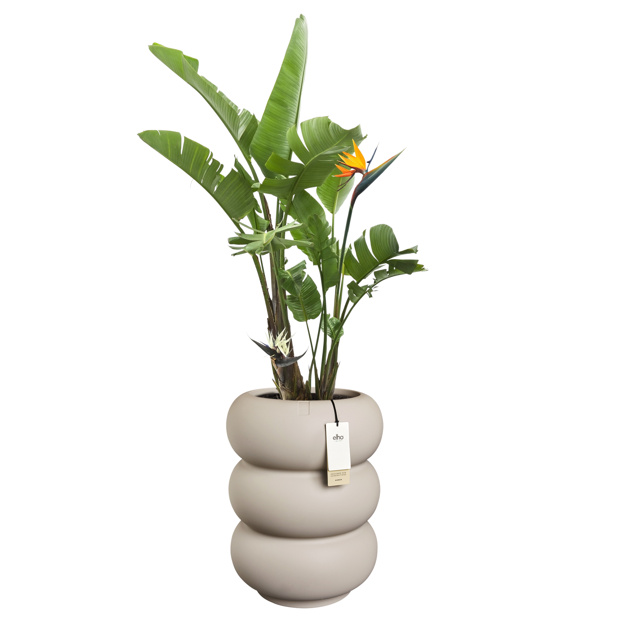 amber roll high 43cm balanced beige - elho® - Give room to nature