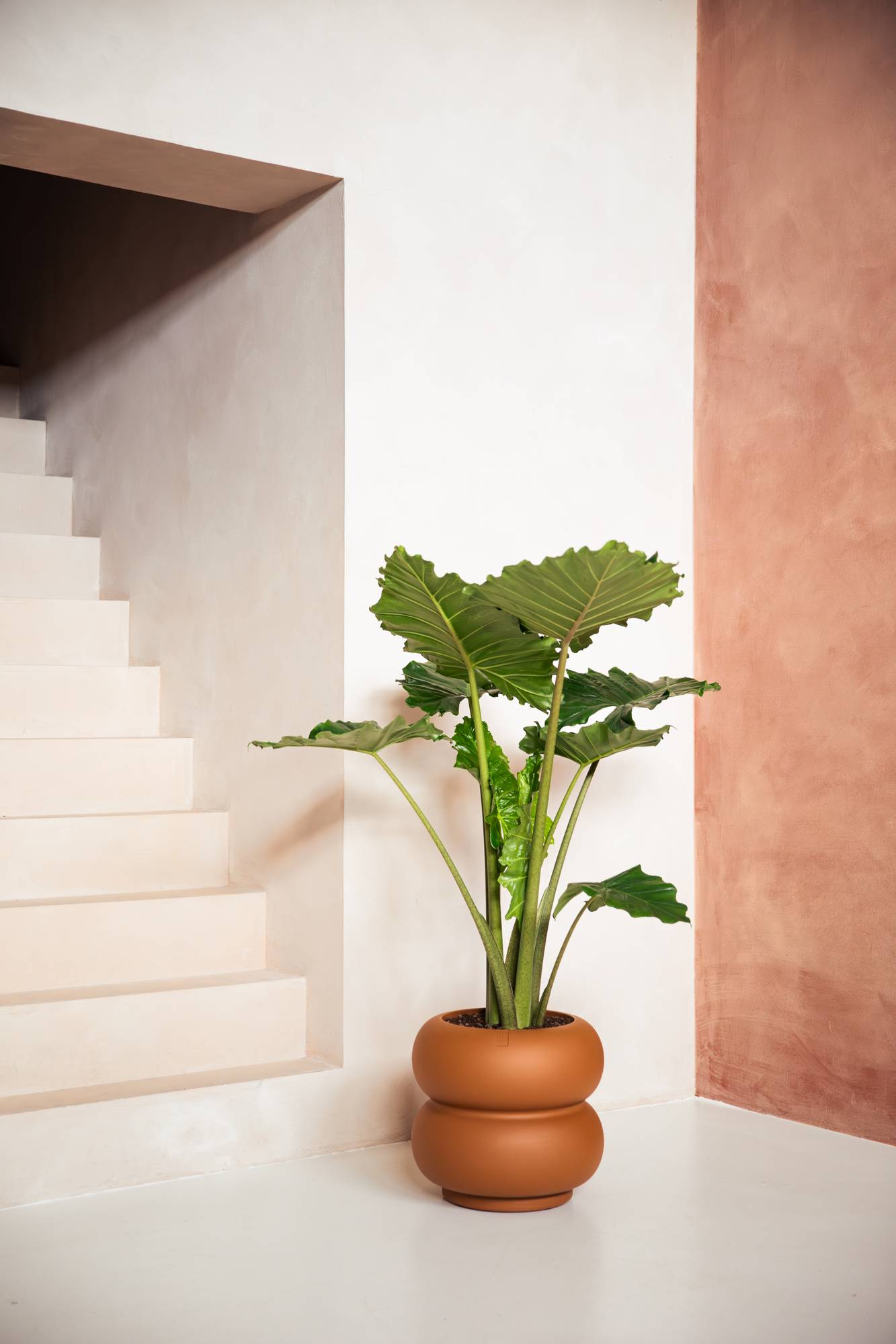 amber roll low 43cm karamel - elho® - Give room to nature