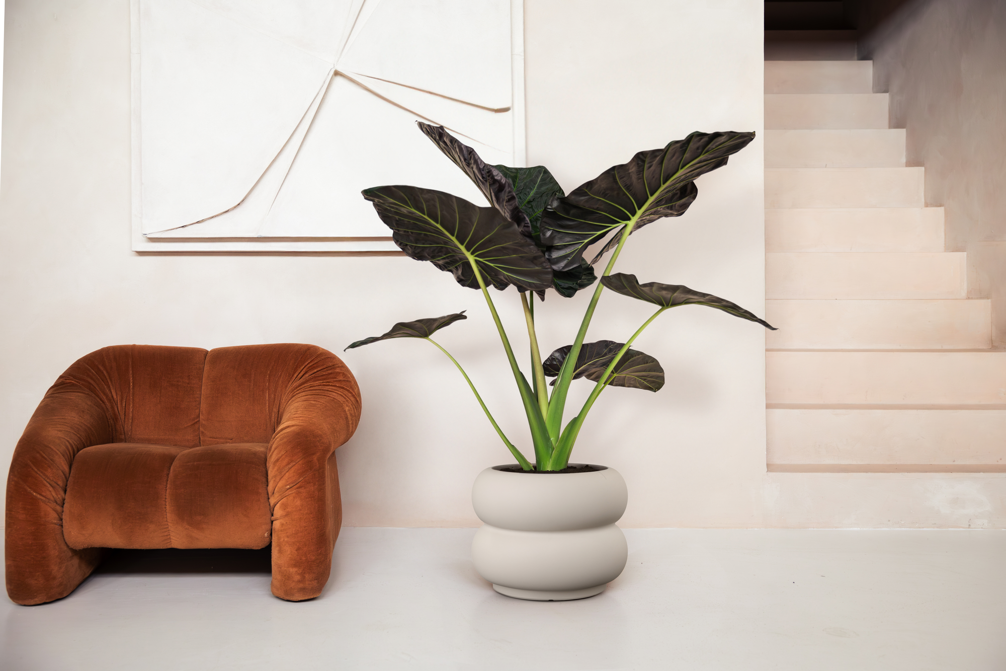 amber roll low 60 balanced beige - elho® - Give room to nature