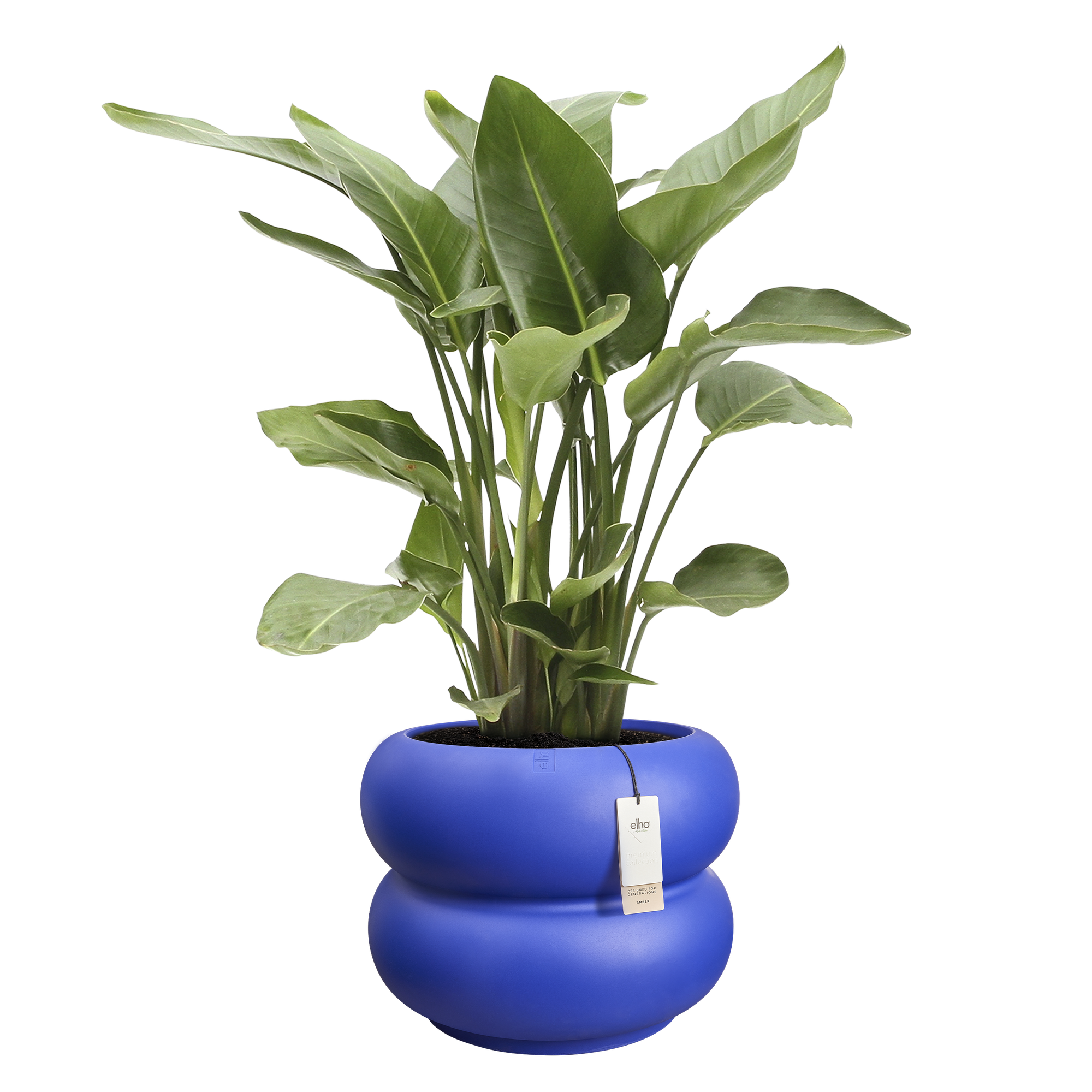 amber roll low 60 royal blue - elho® - Give room to nature