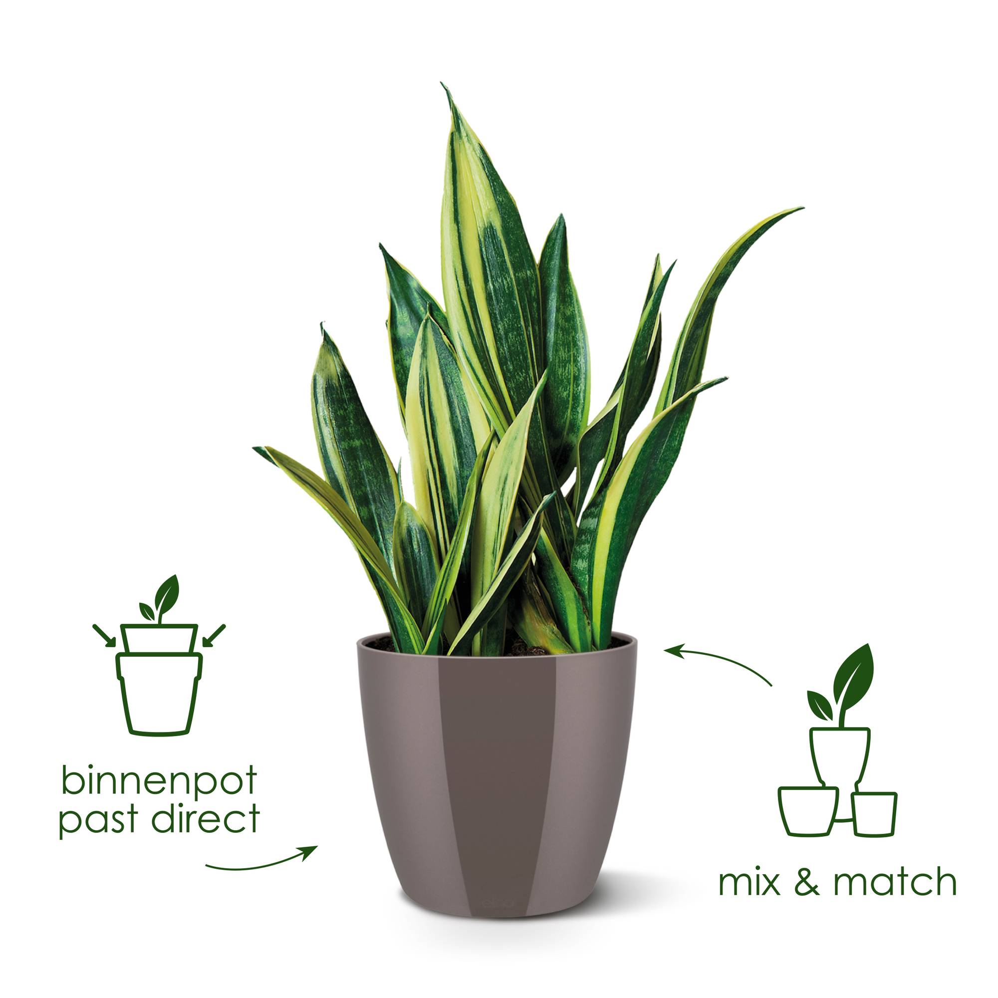 brussels diamond rond 25cm wit - elho® - Give room to nature