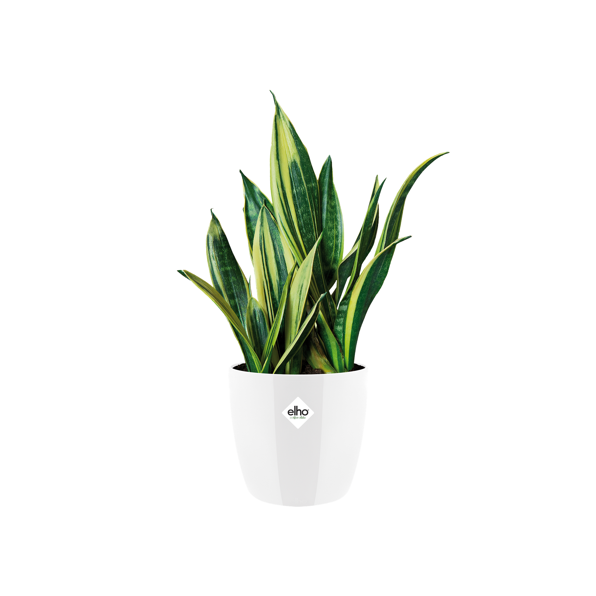brussels diamond rond 25cm wit - elho® - Give room to nature