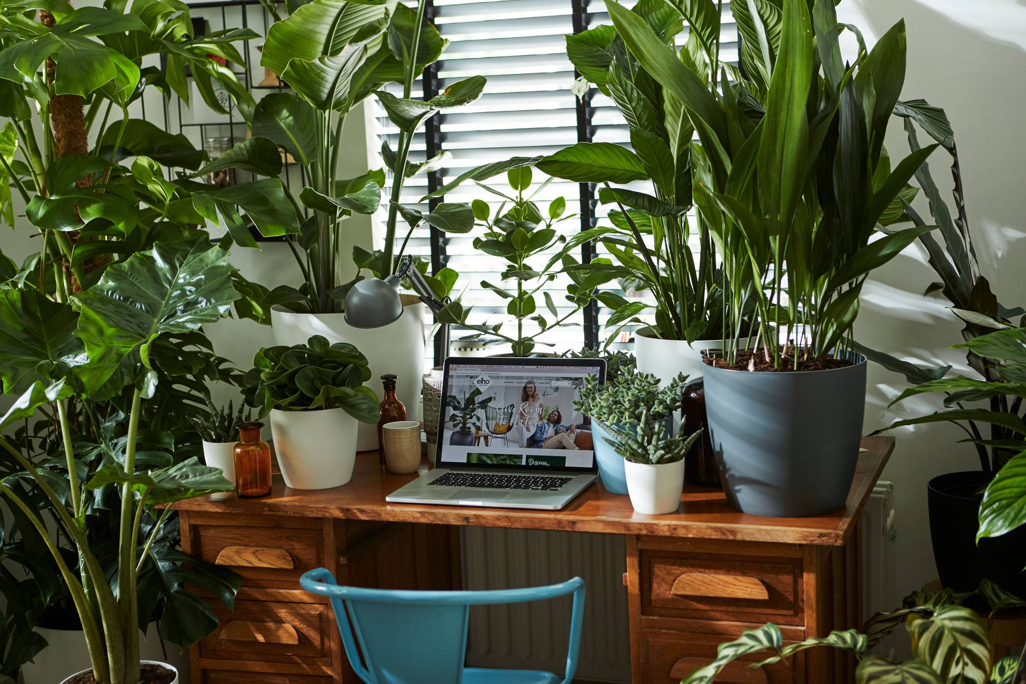 brussels round 14cm anthracite - elho® - Give room to nature