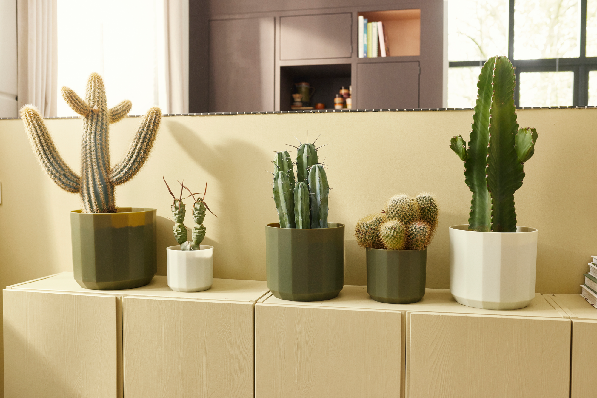 facet round 17cm verde foresta - elho® - Give room to nature