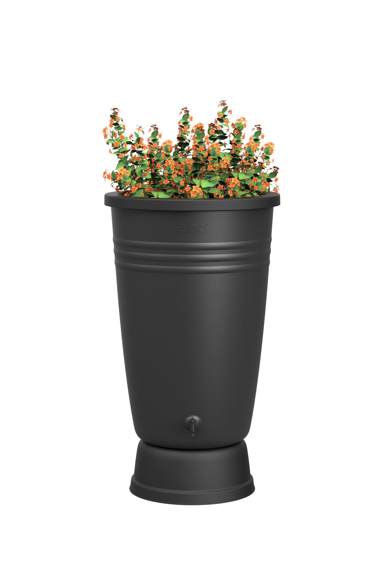 green basics regenton plus 200ltr living black - elho® - Give room to ...