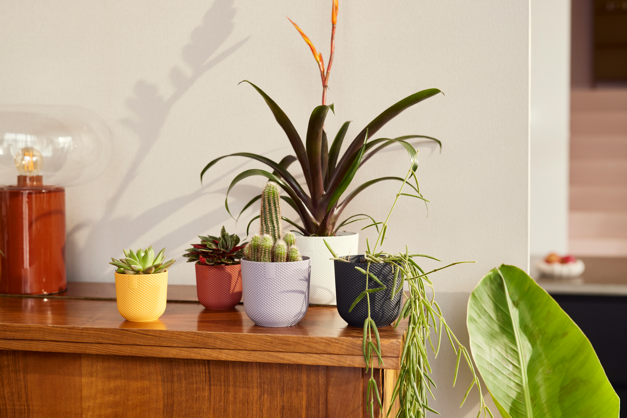 jazz rond mini 7cm amber geel - elho® - Give room to nature