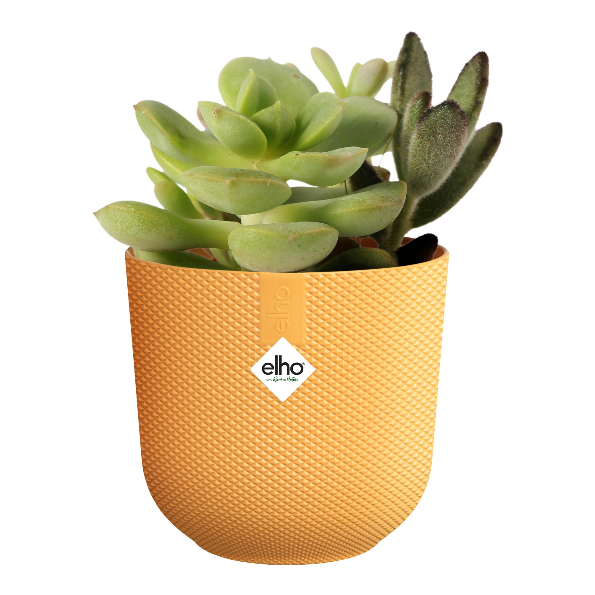 jazz rond mini 9cm amber geel - elho® - Give room to nature