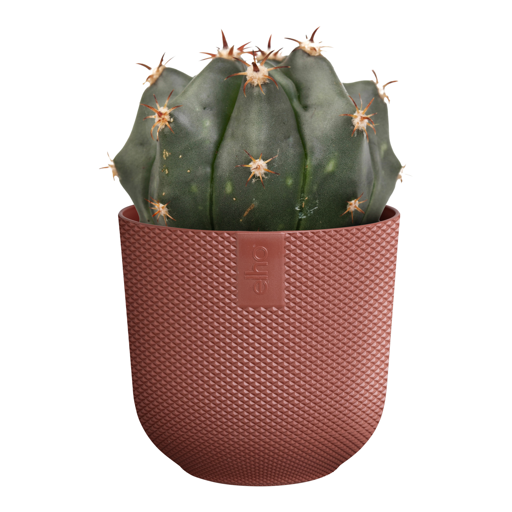 jazz round mini 11cm tuscan red - elho® - Give room to nature