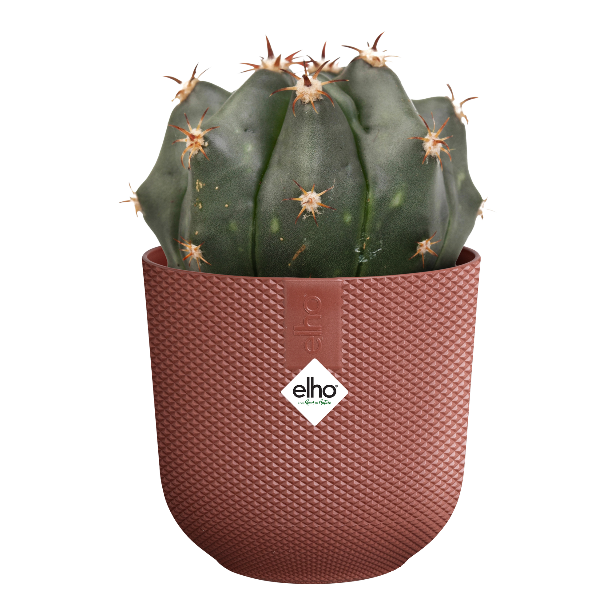 jazz round mini 11cm tuscan red - elho® - Give room to nature