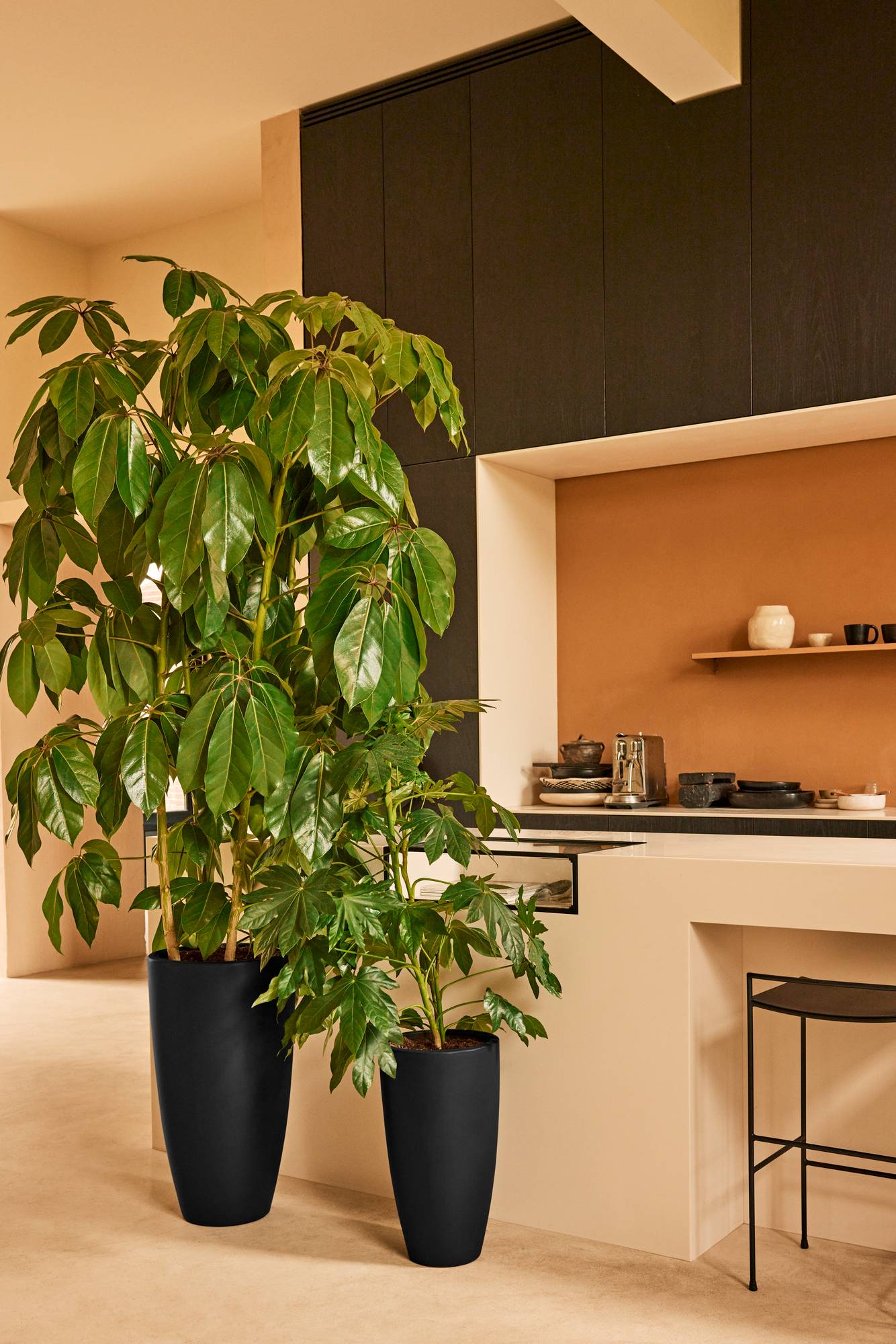 june round high 30cm black - elho® - Give room to nature