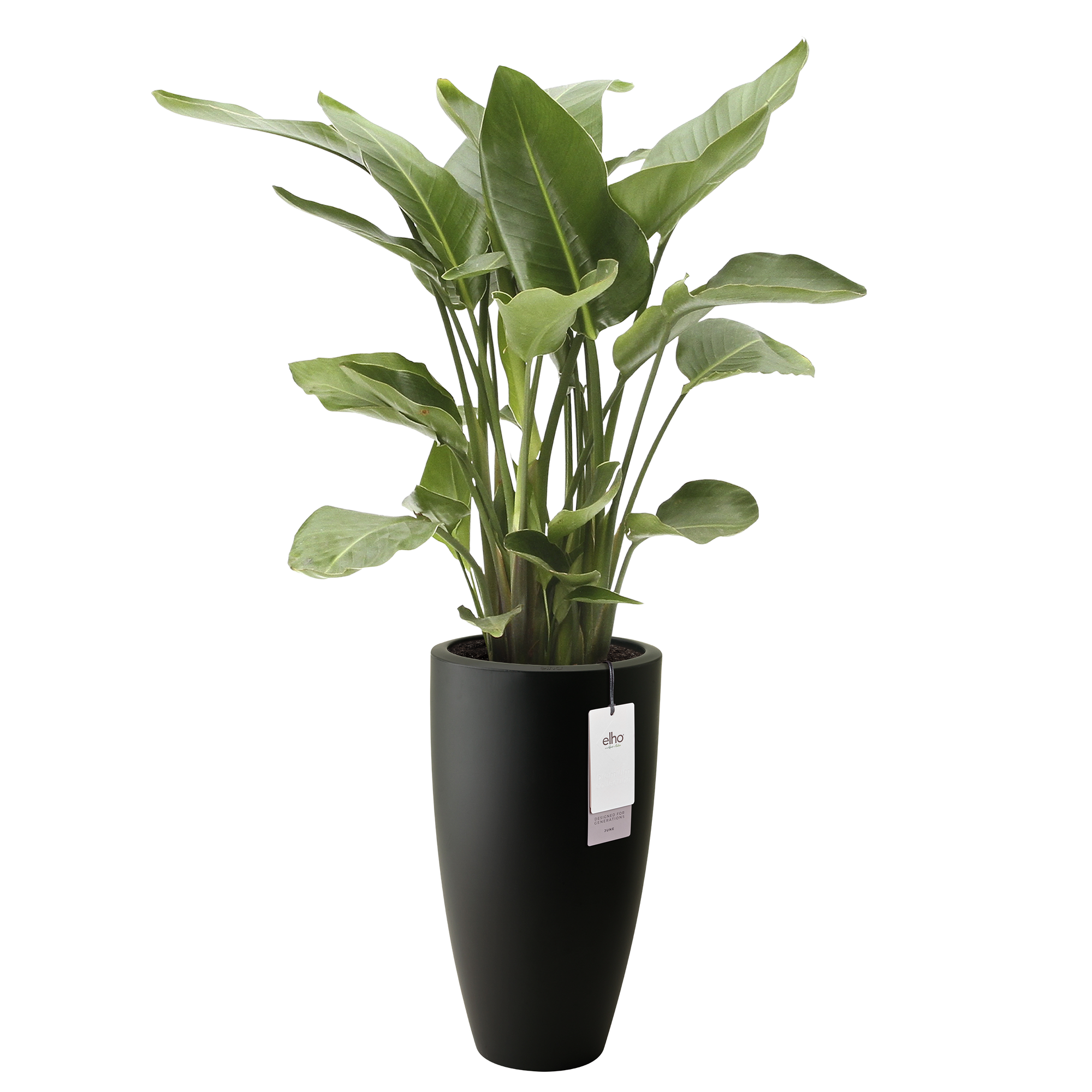 june round high 40cm schwarz - elho® - Give room to nature