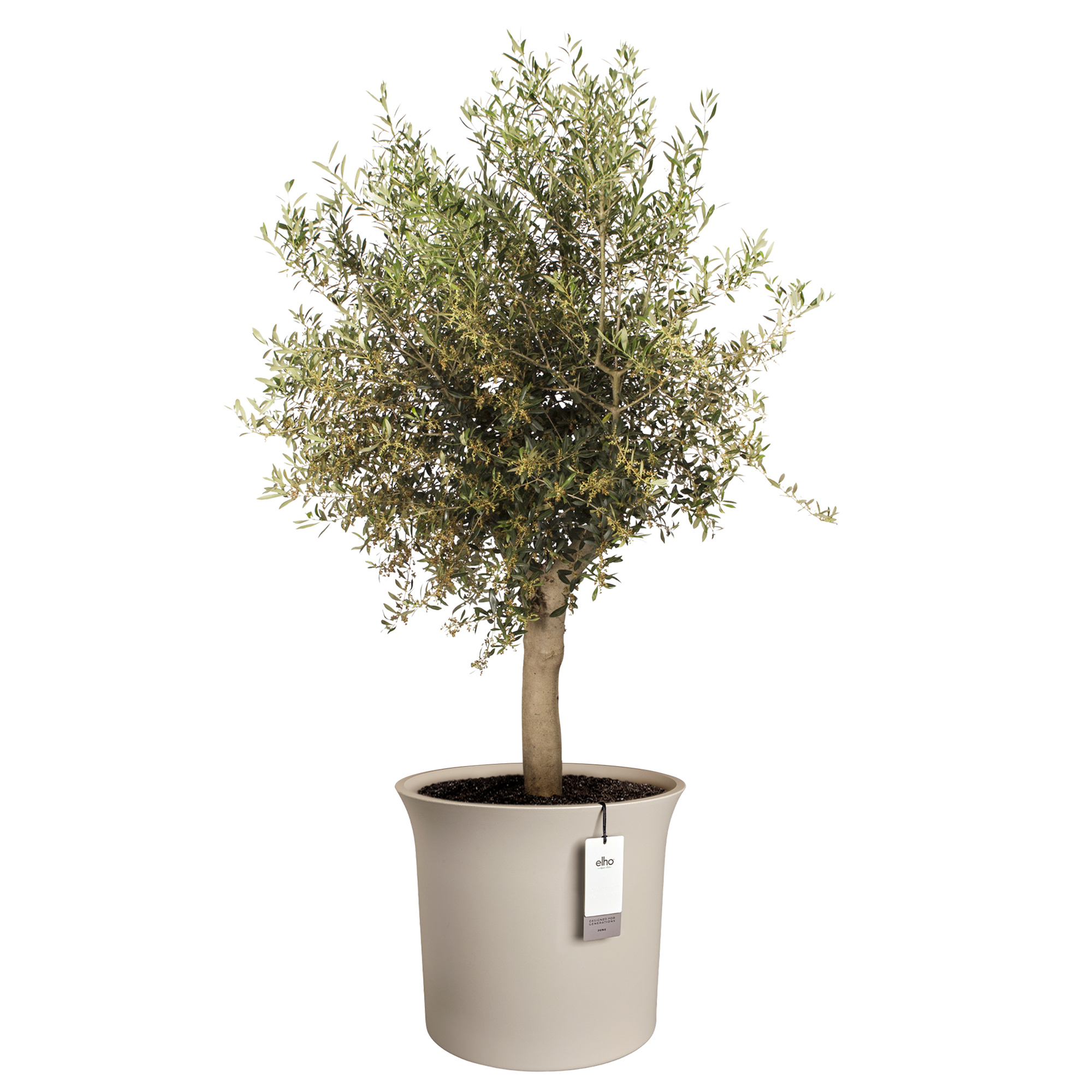 june tulip 58cm balanced beige - elho® - Give room to nature