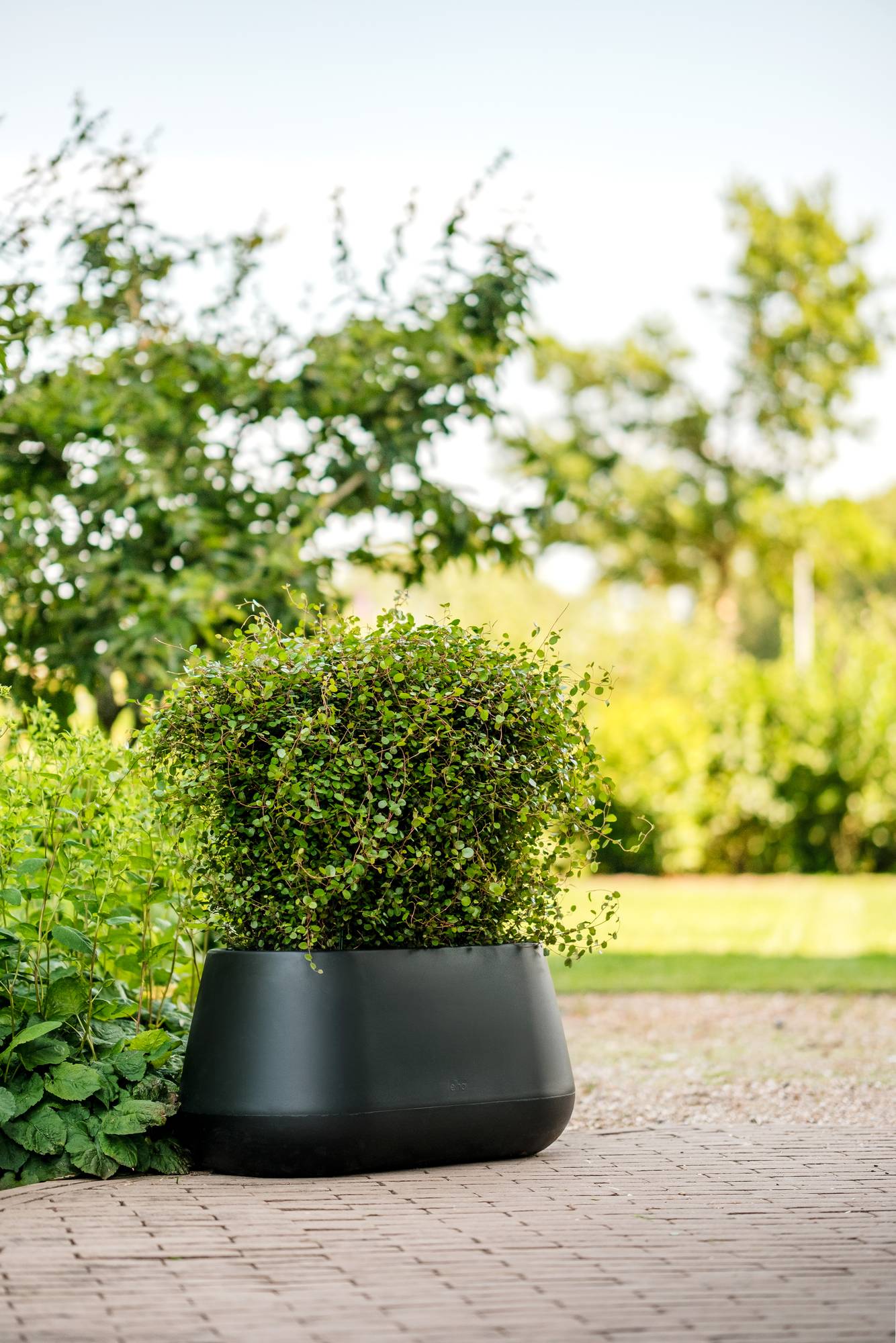 pure cone long wheels 75 black - elho® - Give room to nature