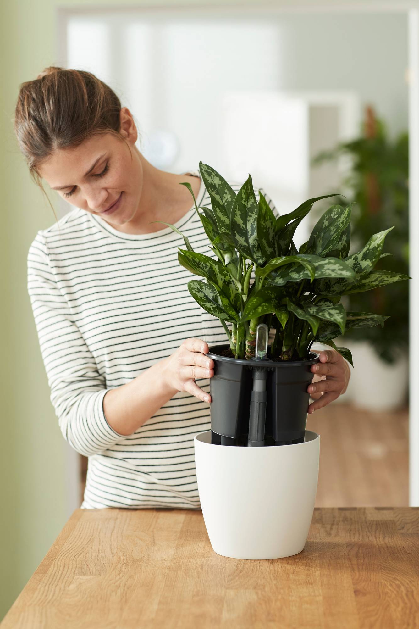 self-watering insert 17cm living black - elho® - Give room to nature