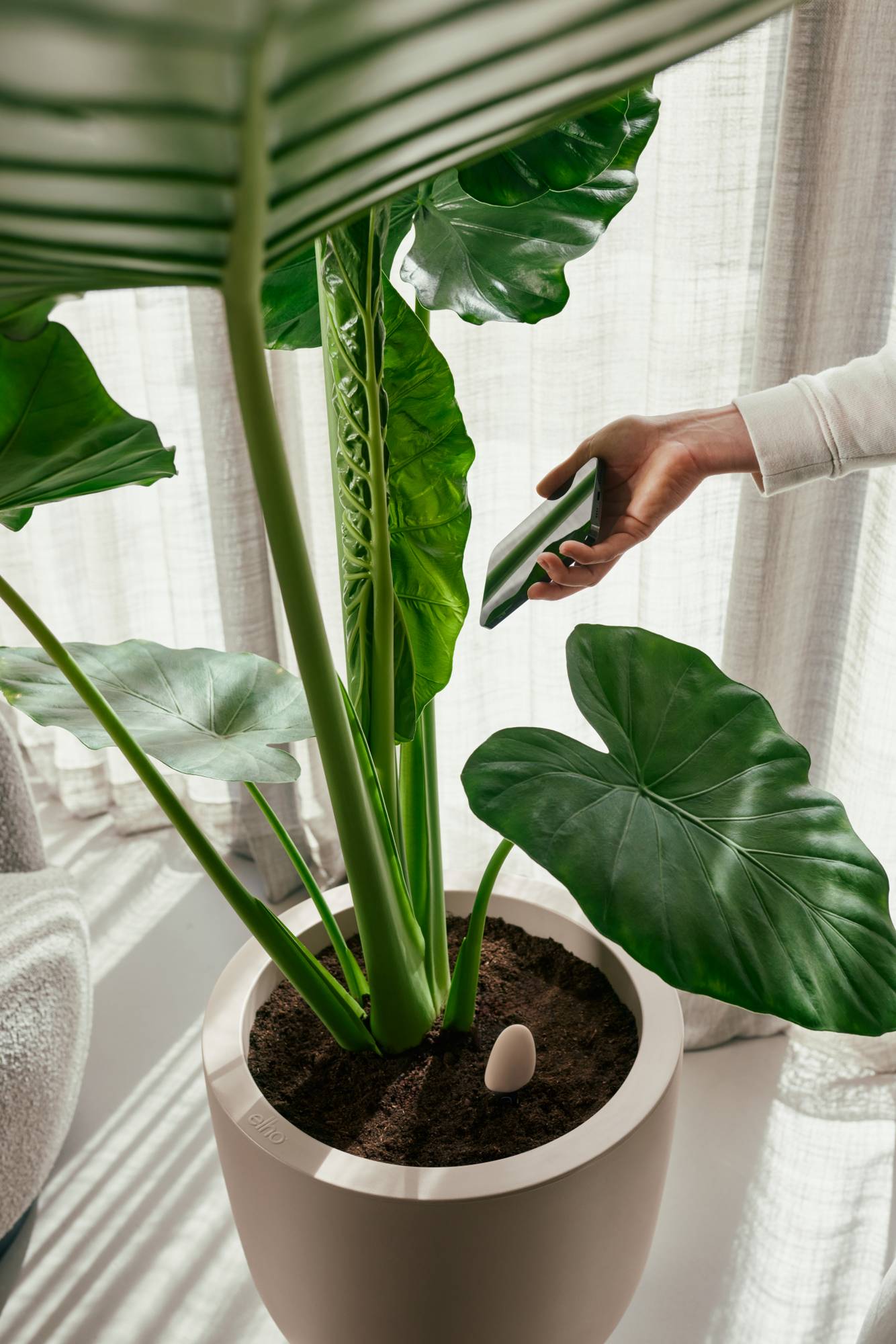 smart pebble earthy brown - elho® - Give room to nature