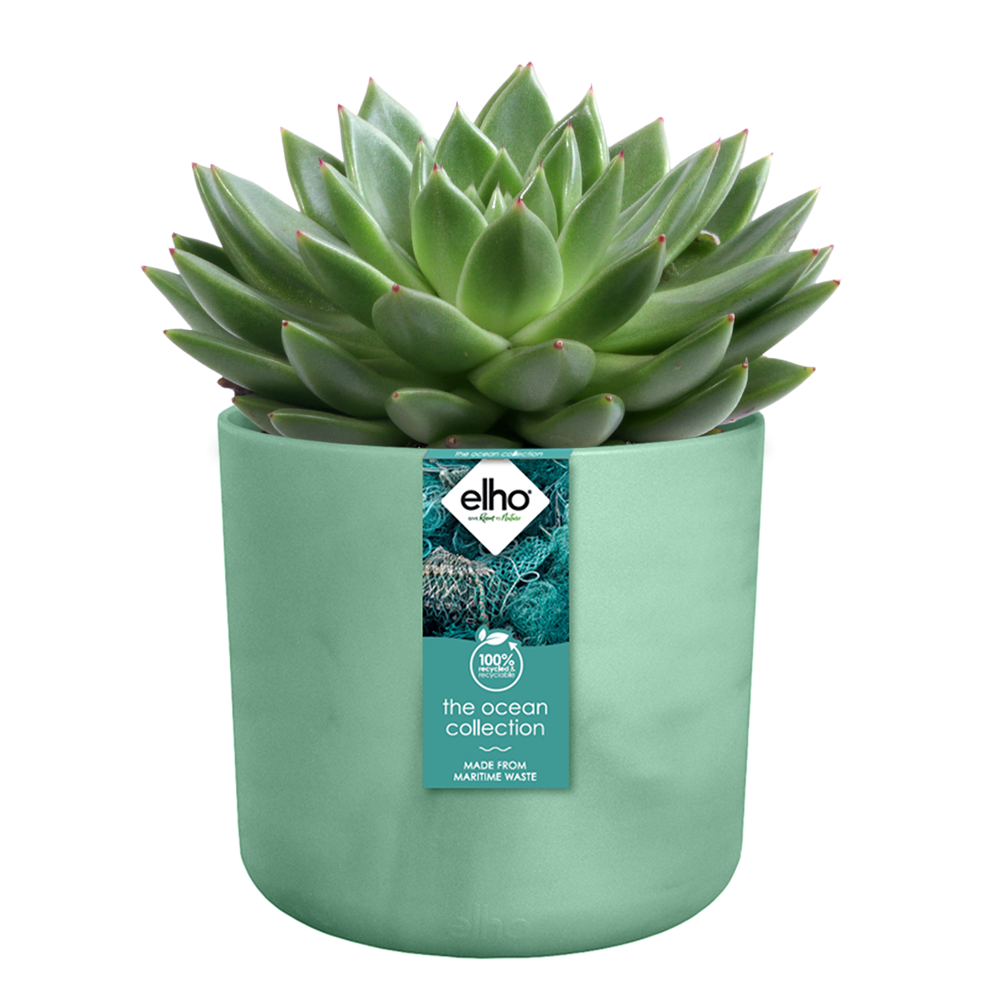 the ocean collection round 16cm pacific green - elho® - Give room to nature