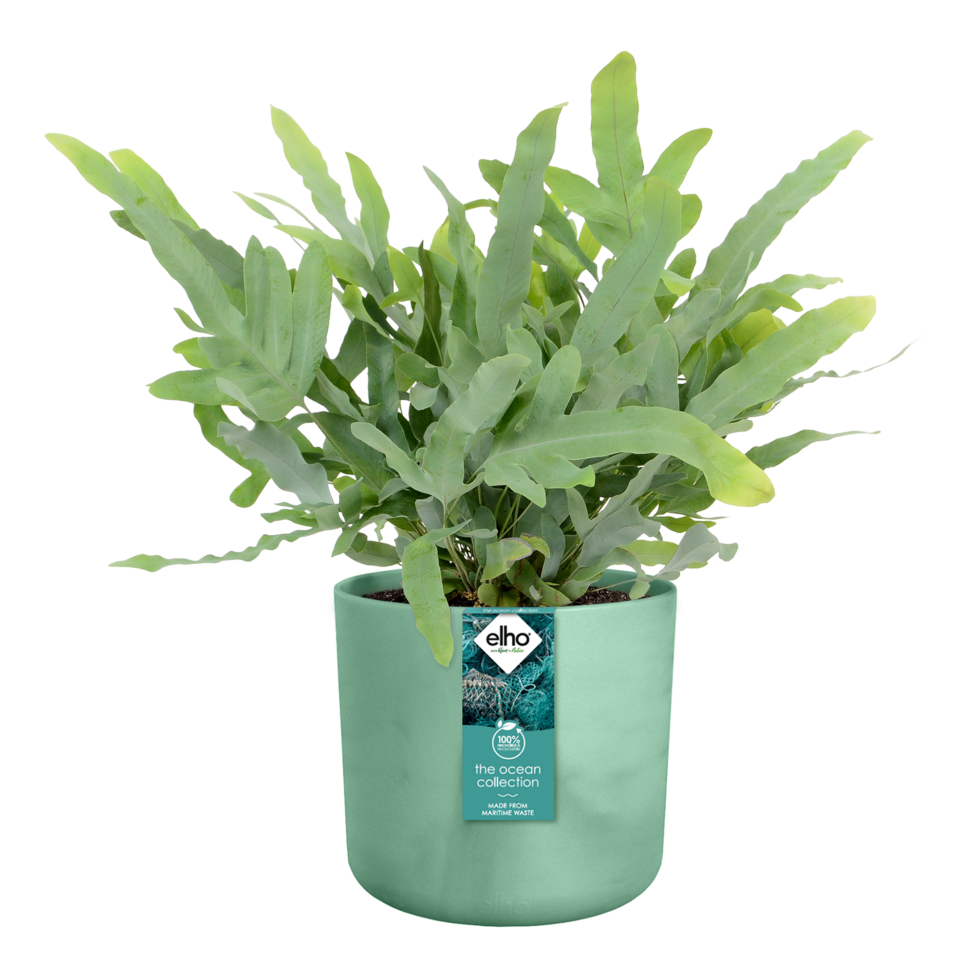 the ocean collection round 22cm pacific green - elho® - Give room to nature