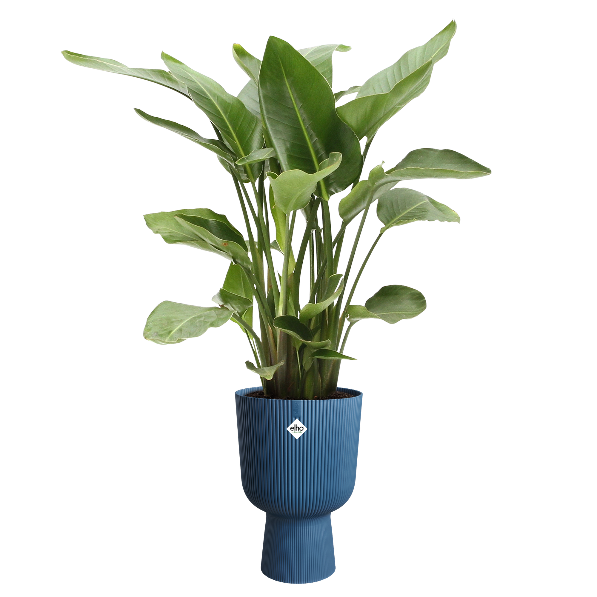 vibes fold coupe 30cm diepblauw - elho® - Give room to nature