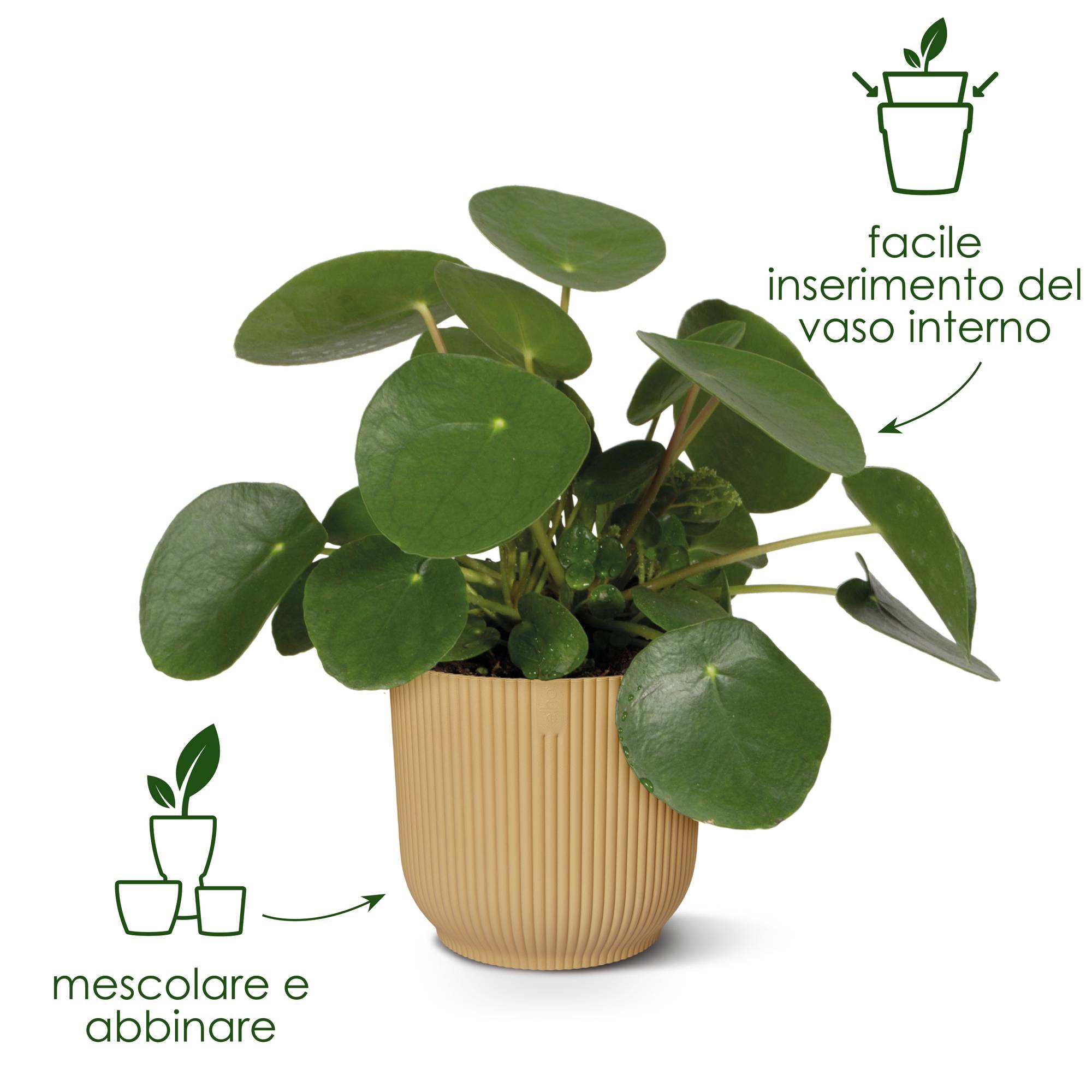 vibes fold round 47cm verde felce - elho® - Give room to nature