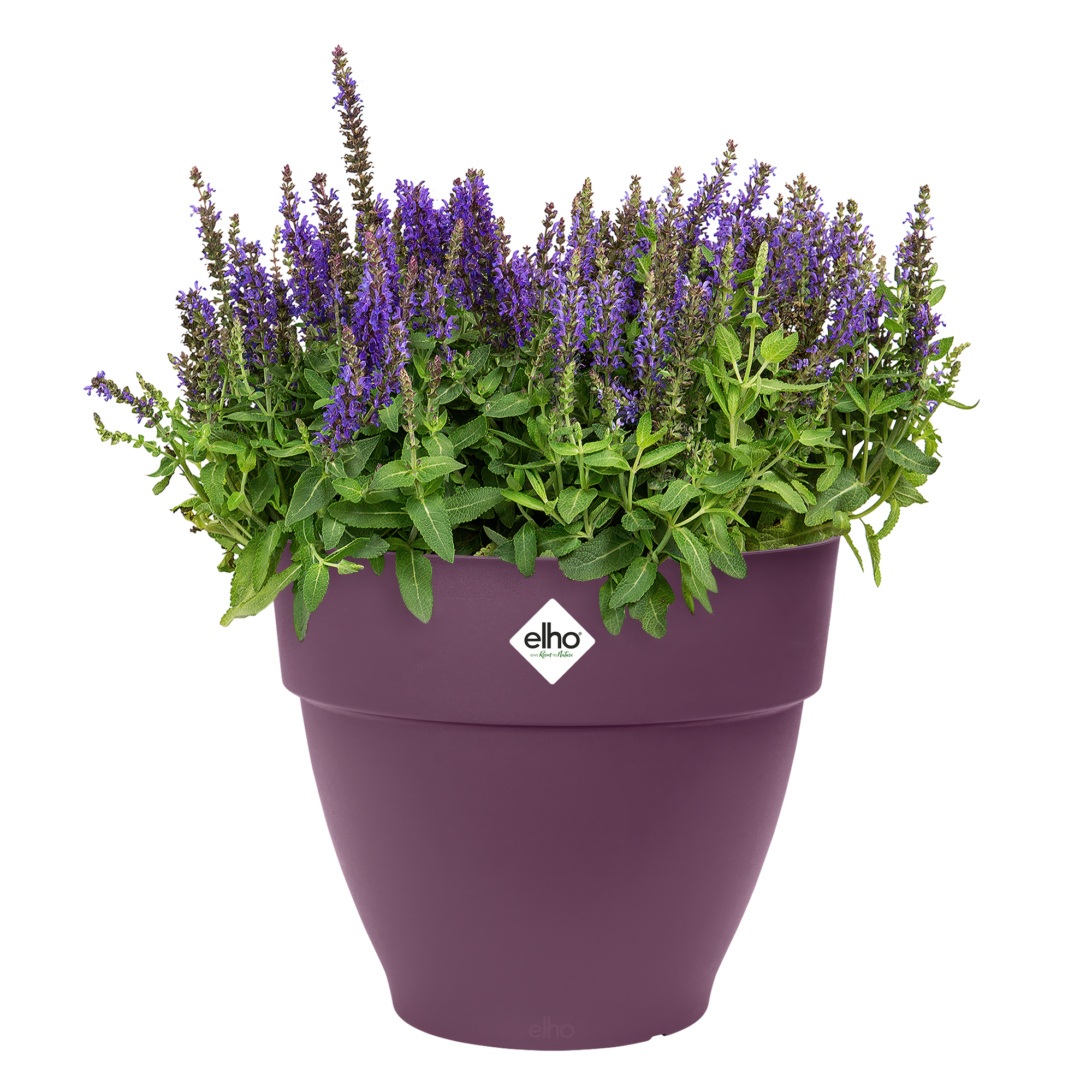vibia campana rund 20cm ahorn lila - elho® - Give room to nature