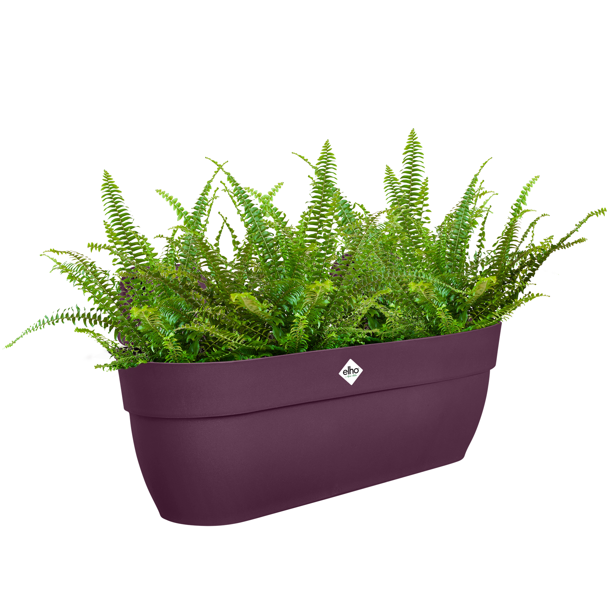 vibia campana easy hanger XL 58cm maple purple - elho® - Give room to ...