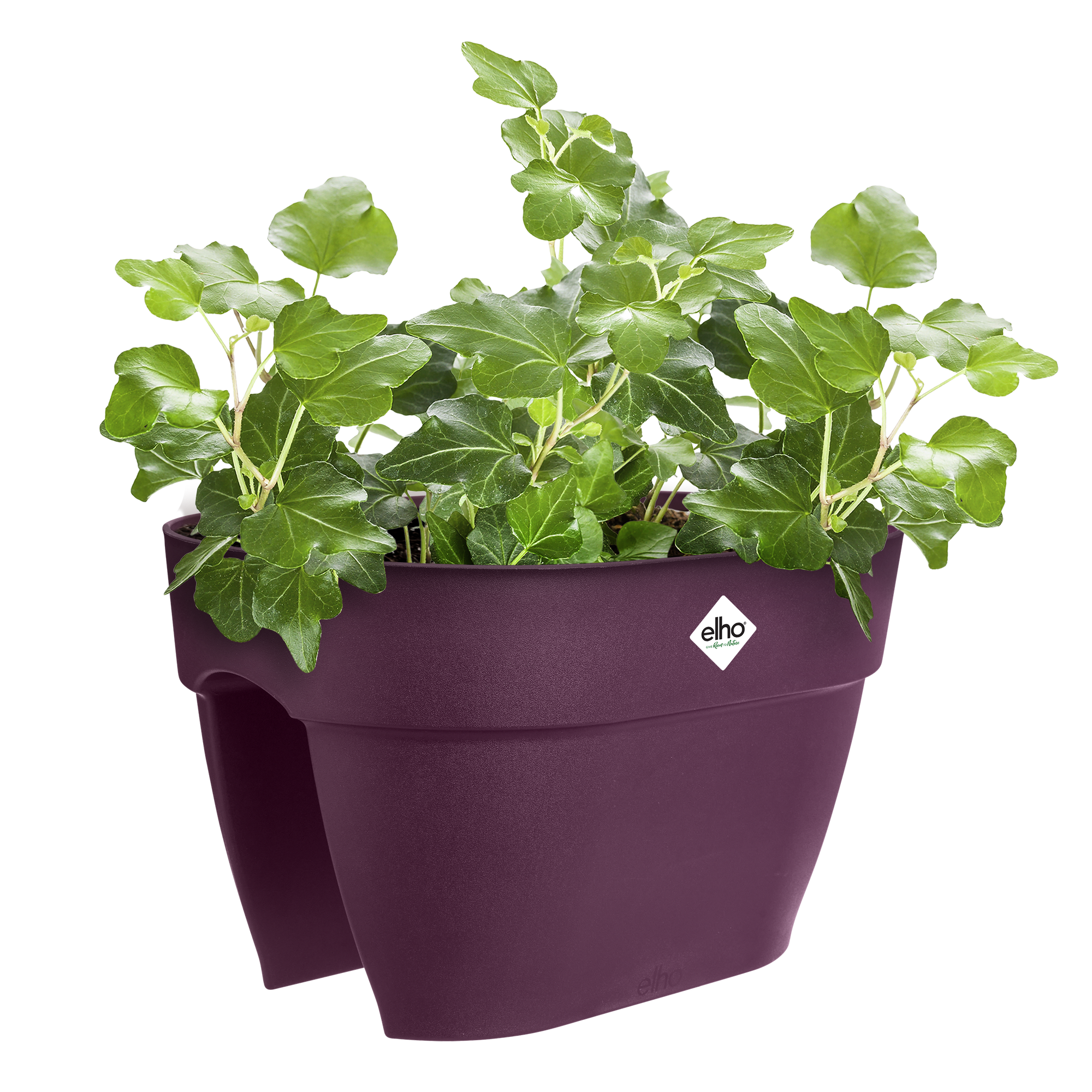 vibia campana flower bridge 40cm ahorn lila - elho® - Give room to nature