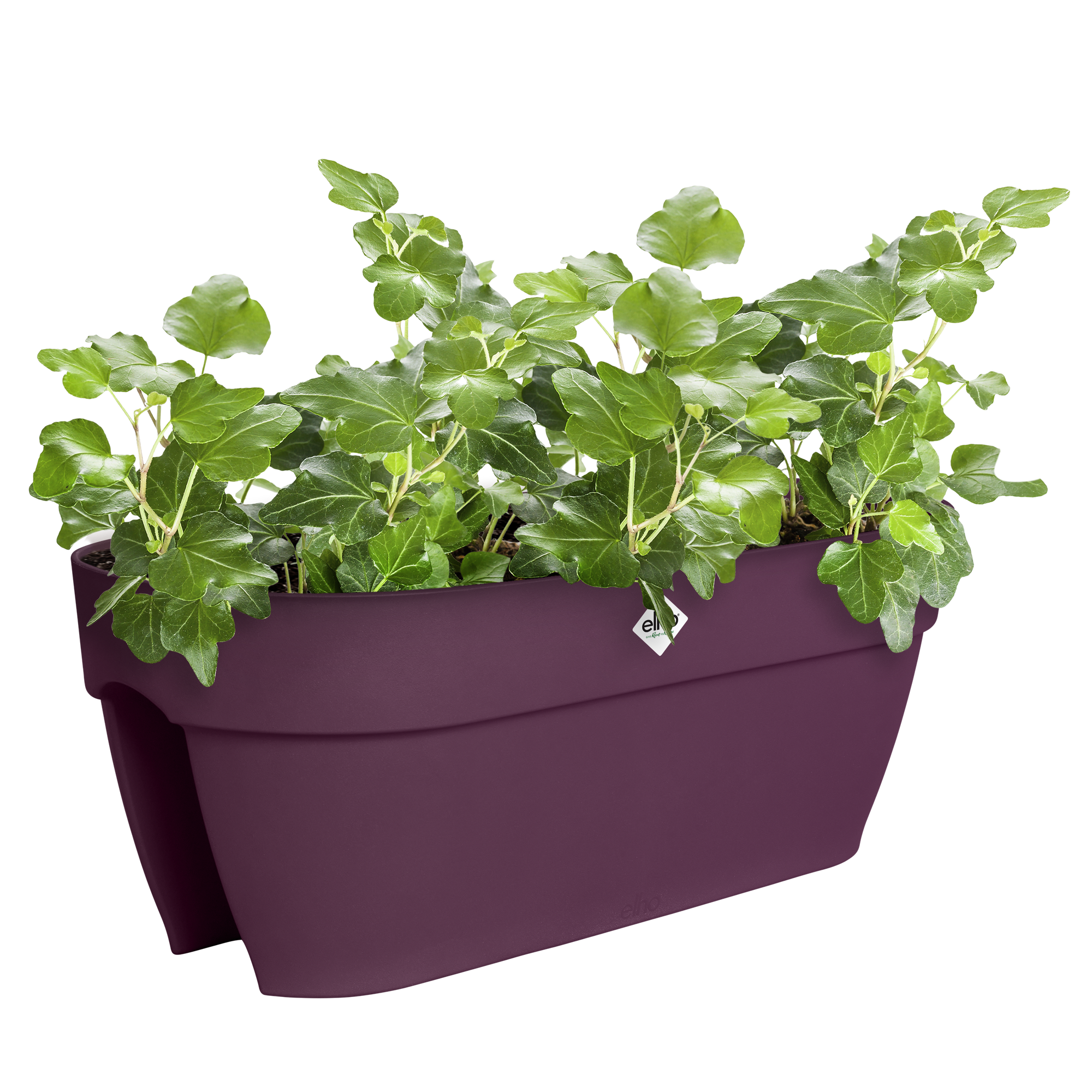 vibia campana flower bridge 60cm ahorn lila - elho® - Give room to nature