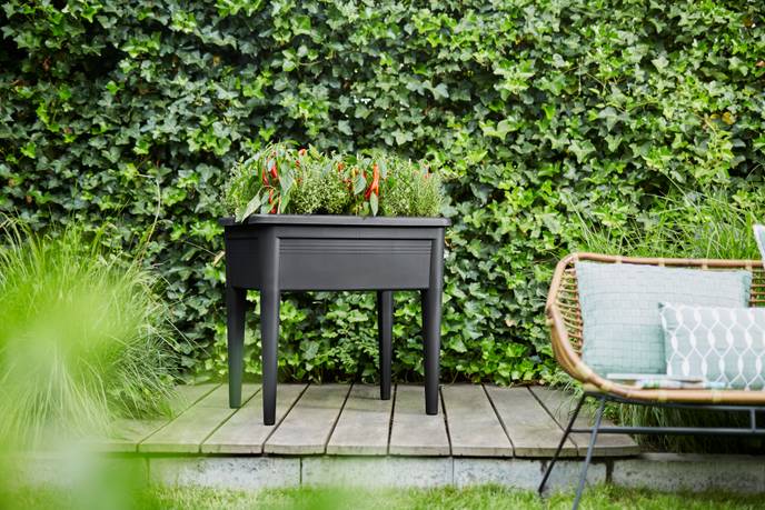 green basics grow table super xxl living black - elho® - Give room to ...