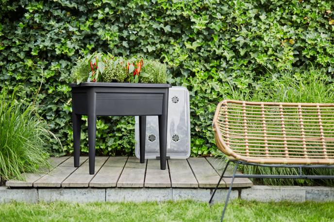 green basics grow table super xxl living black - elho® - Give room to ...