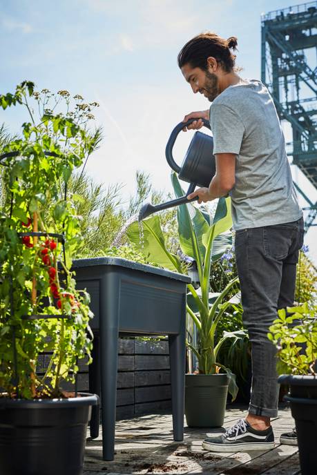 green basics grow table super xxl living black - elho® - Give room to ...