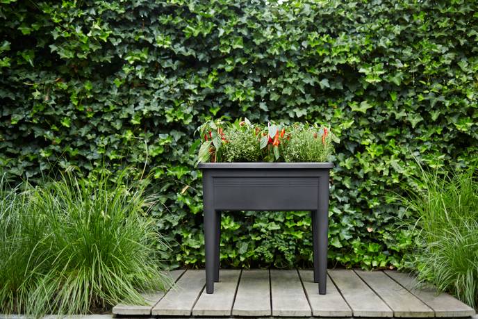 green basics grow table super xxl living black - elho® - Give room to ...