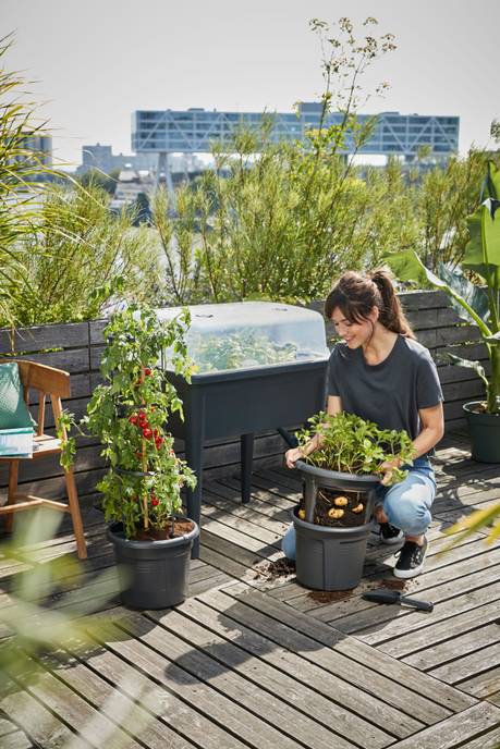 green basics grow table super xxl living black - elho® - Give room to ...