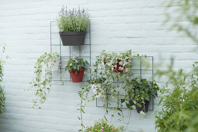 loft urban green wall rack 59cm living black - elho® - Give room to nature